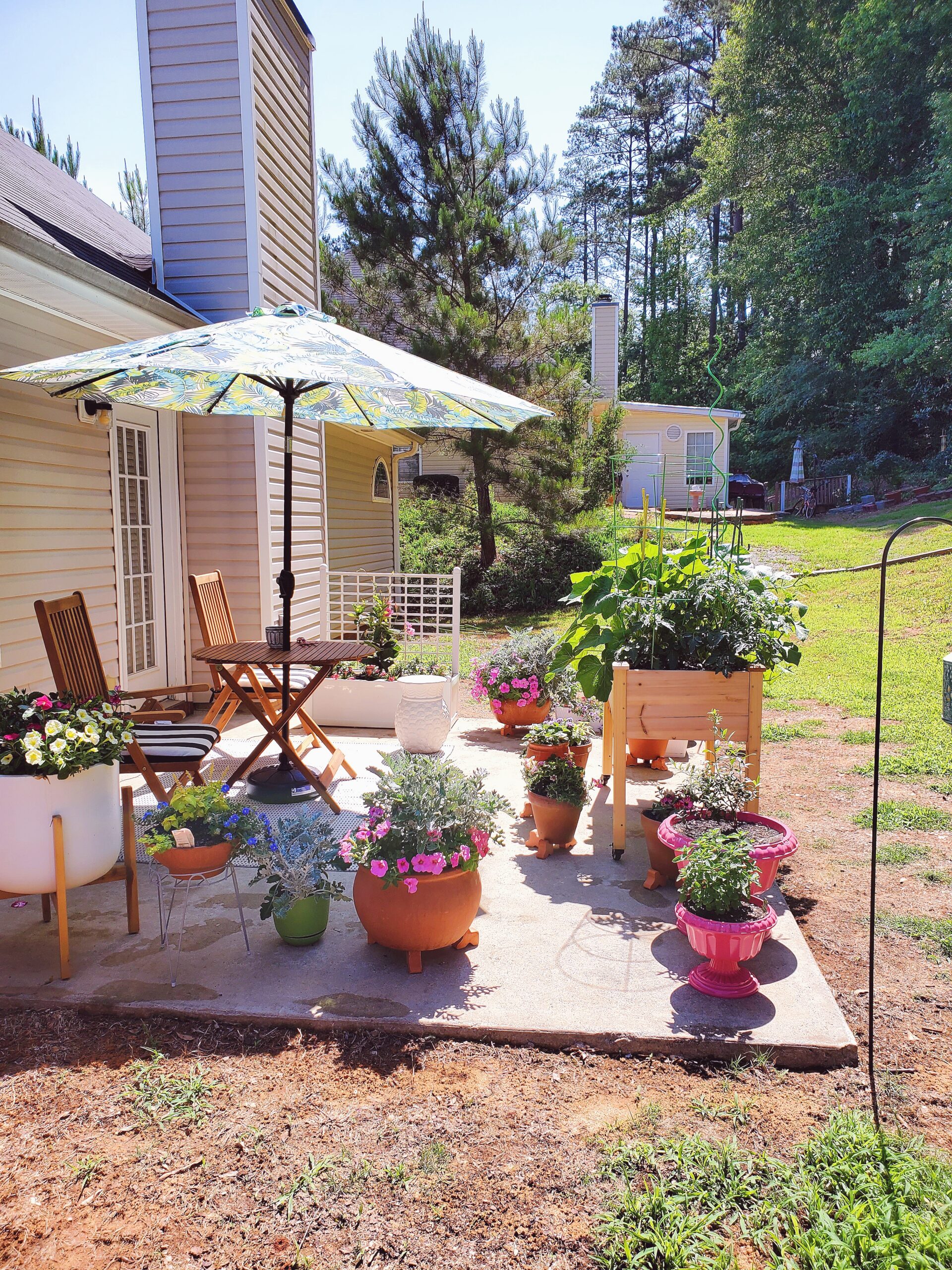 Summer 2020 Patio Garden • Carla Bethany Interior Design Blog