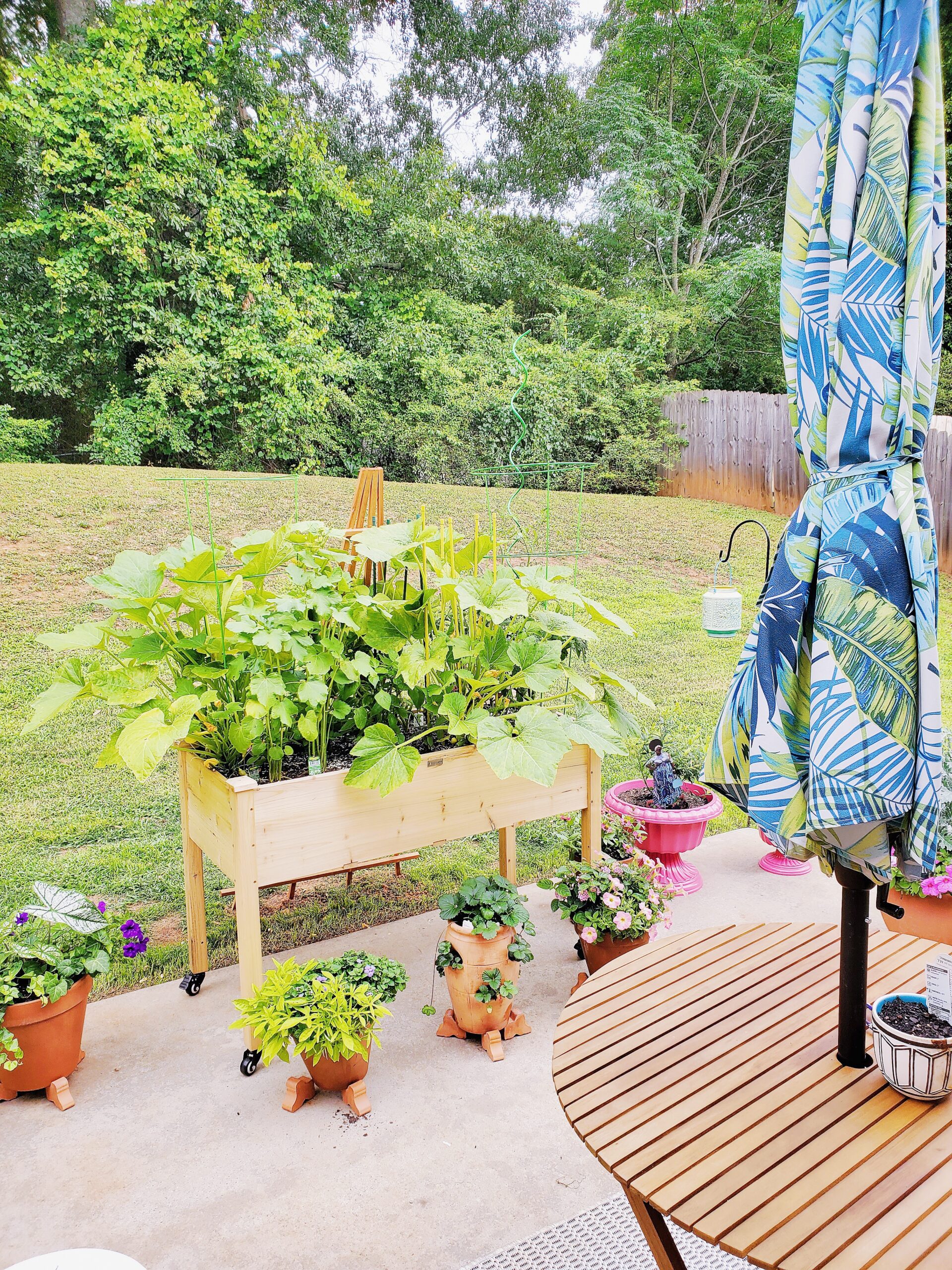 Summer 2020 Patio Garden • Carla Bethany Interior Design Blog